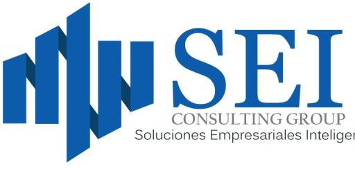 SEI Consulting